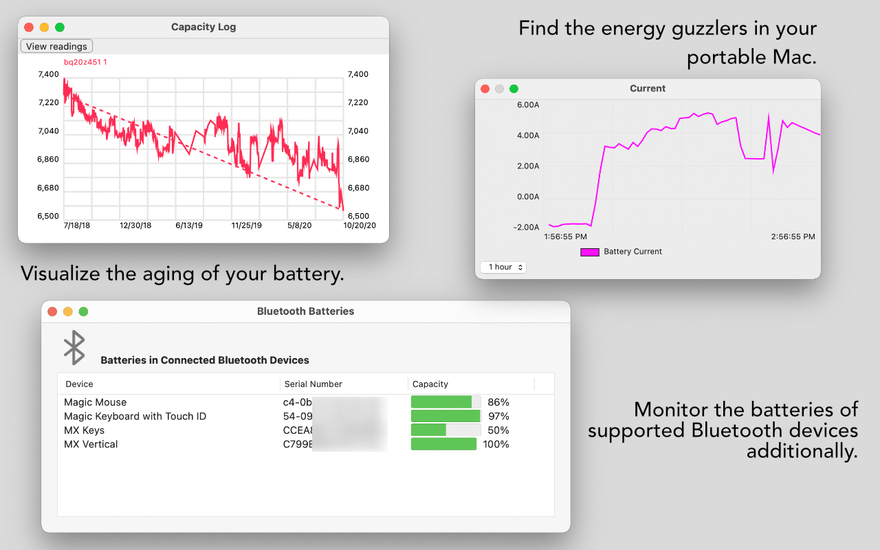 Battery Monitor: Screenshots